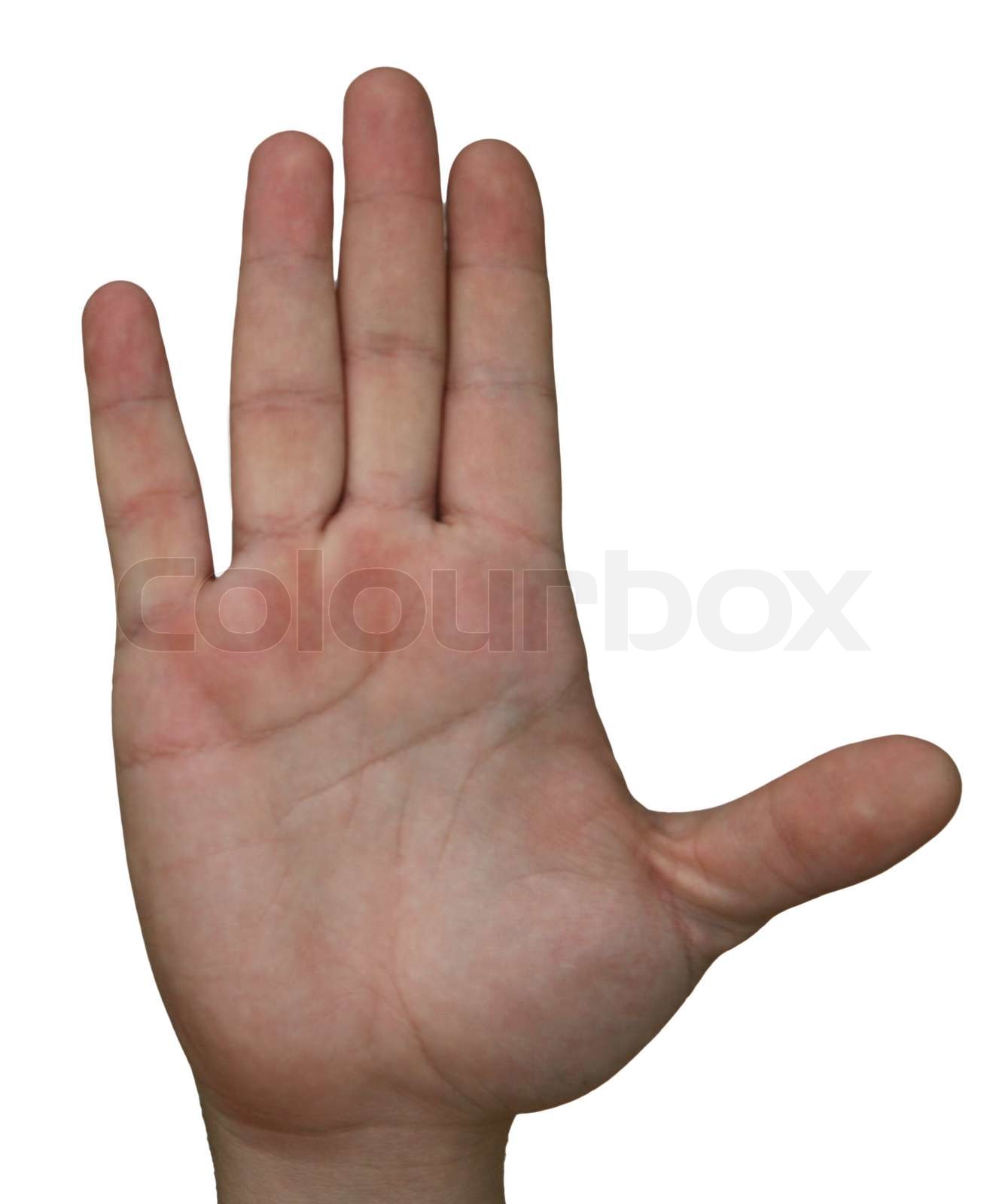 hand palm open | Stock image | Colourbox