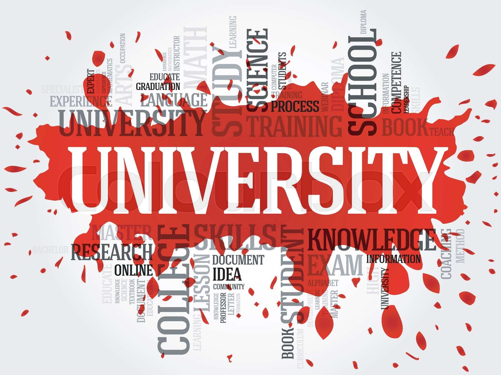 UNIVERSITY word cloud | Stock vector | Colourbox