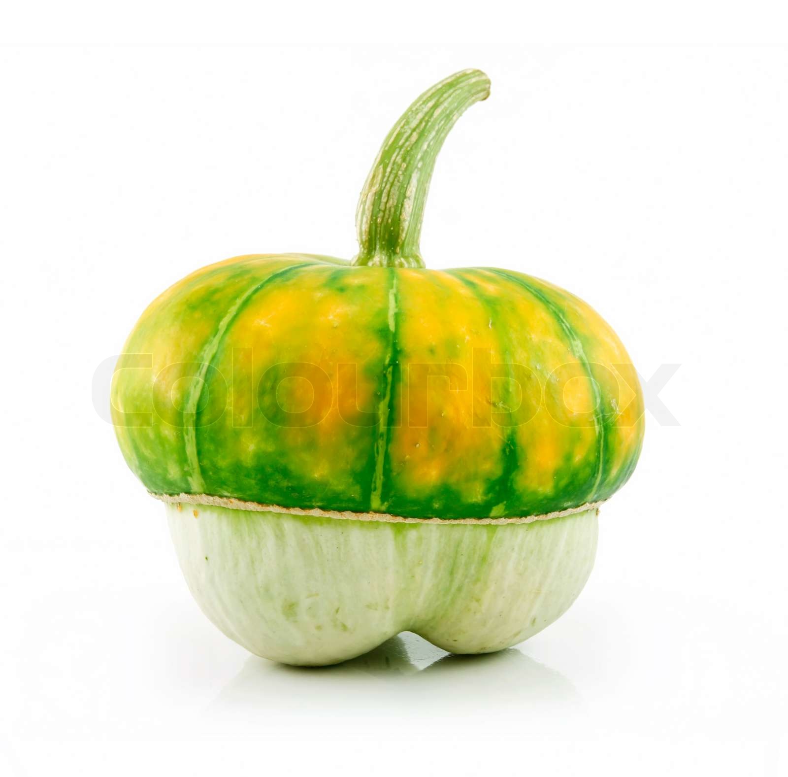 Ripe Gourds Vegetable Hybrid Isolated on White Background | Stock image ...