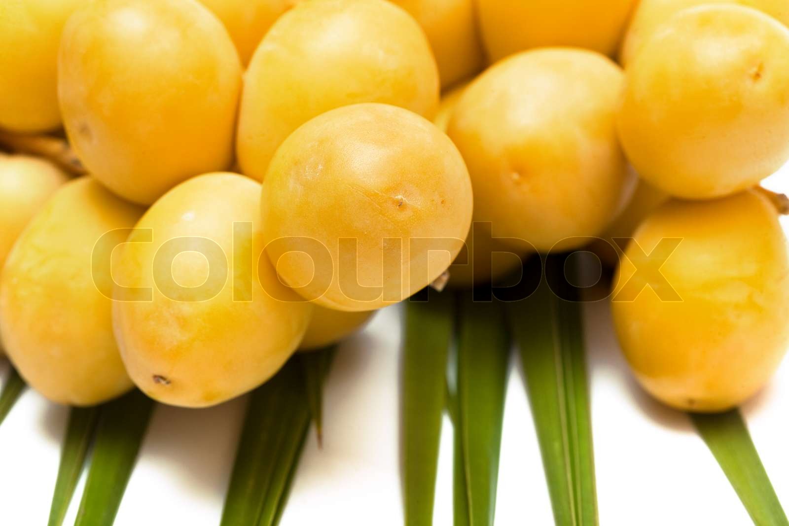 Bunch of frische Datteln auf dem Blatt | Stock Bild | Colourbox