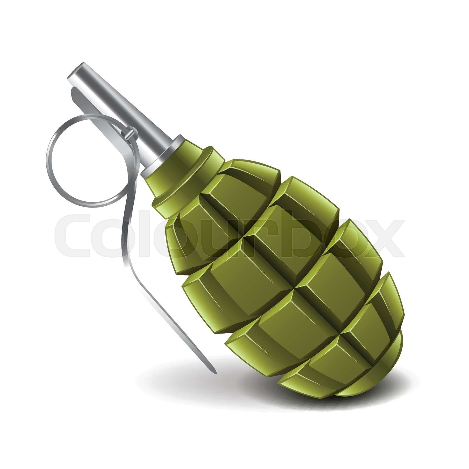 Grenade isolated on white vector | Stock vector | Colourbox