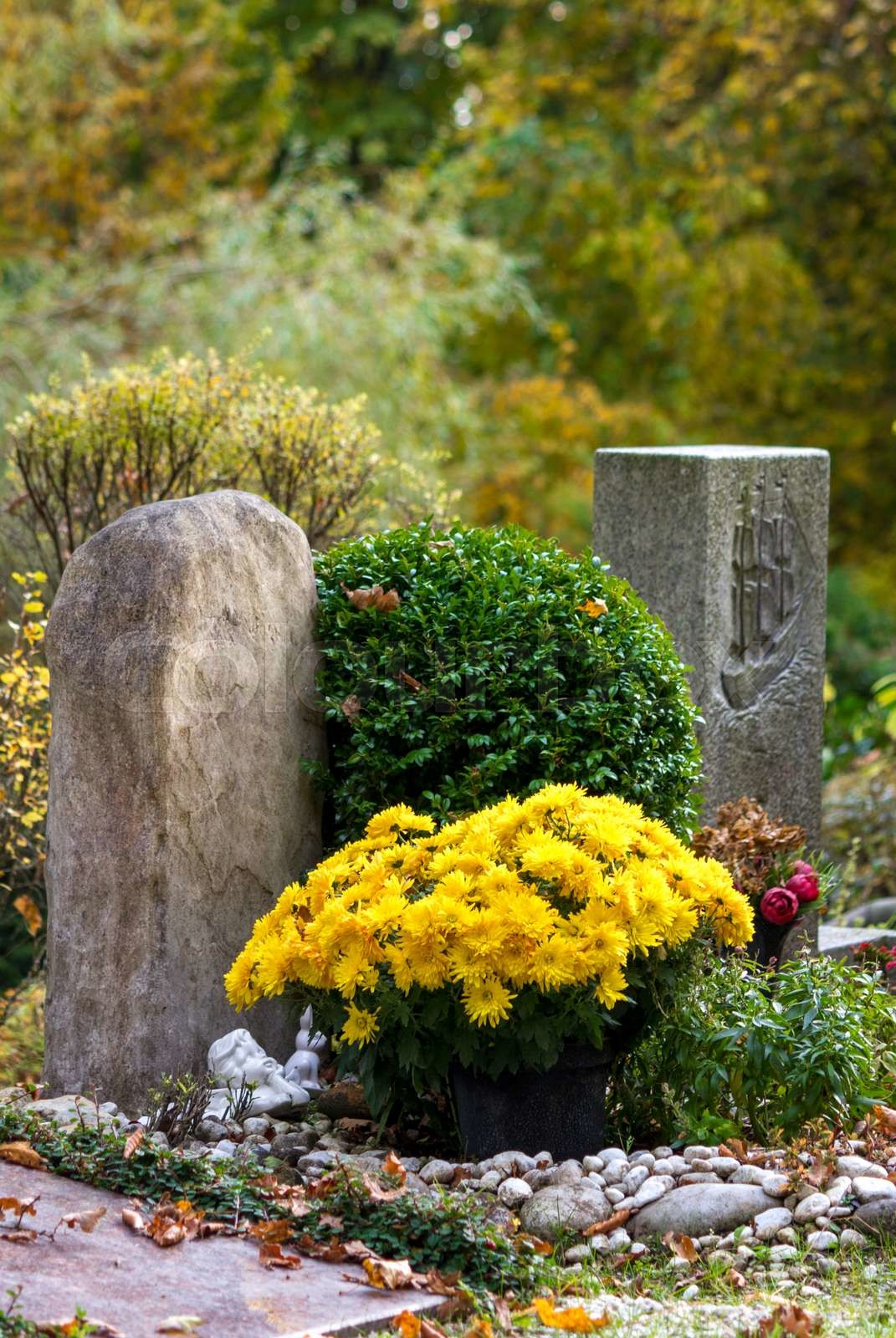 Gelbe Blumen vor einem Grabstein auf einem Friedhof im Herbst. | Stock ...
