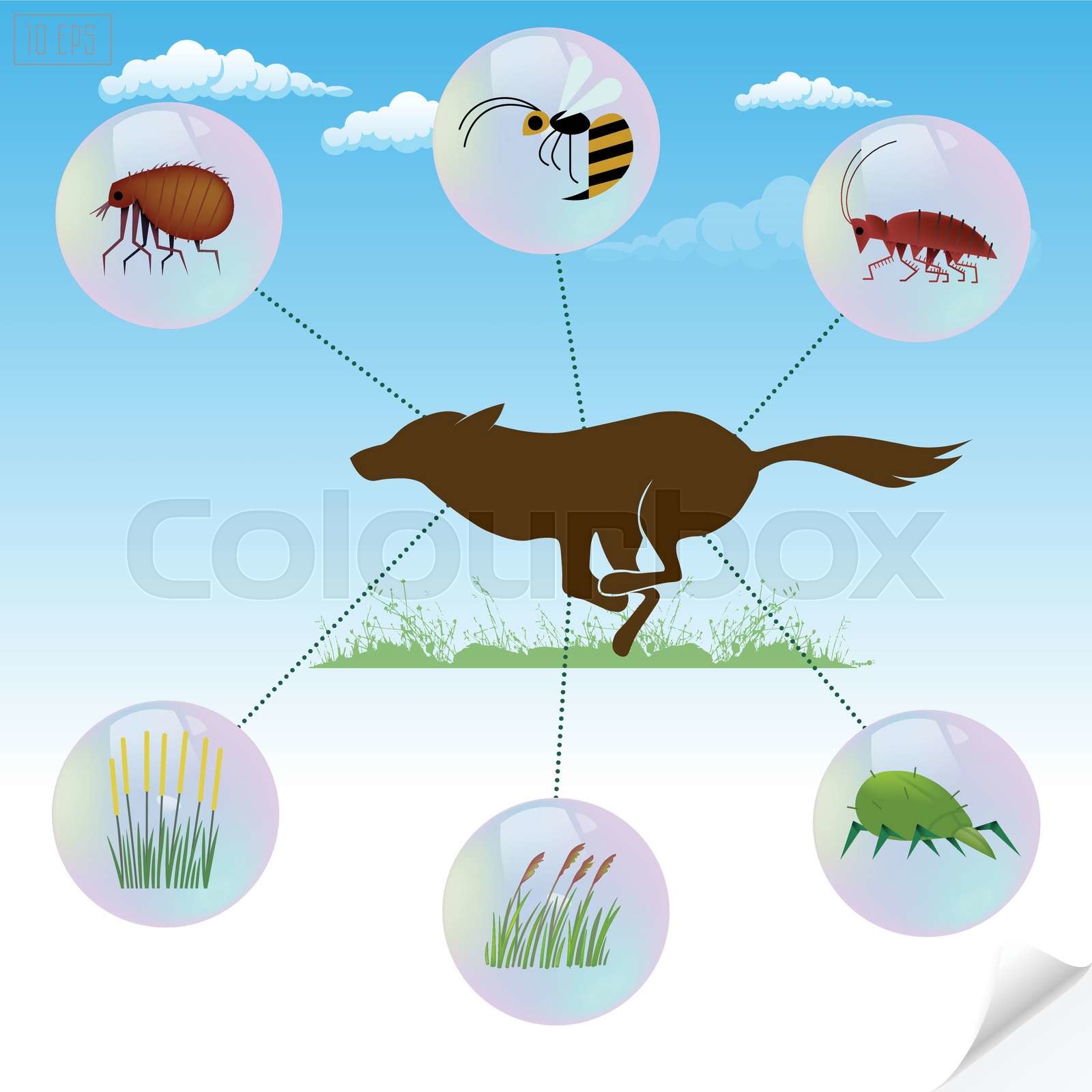 floh, tier, stop | Stock-Vektor | Colourbox