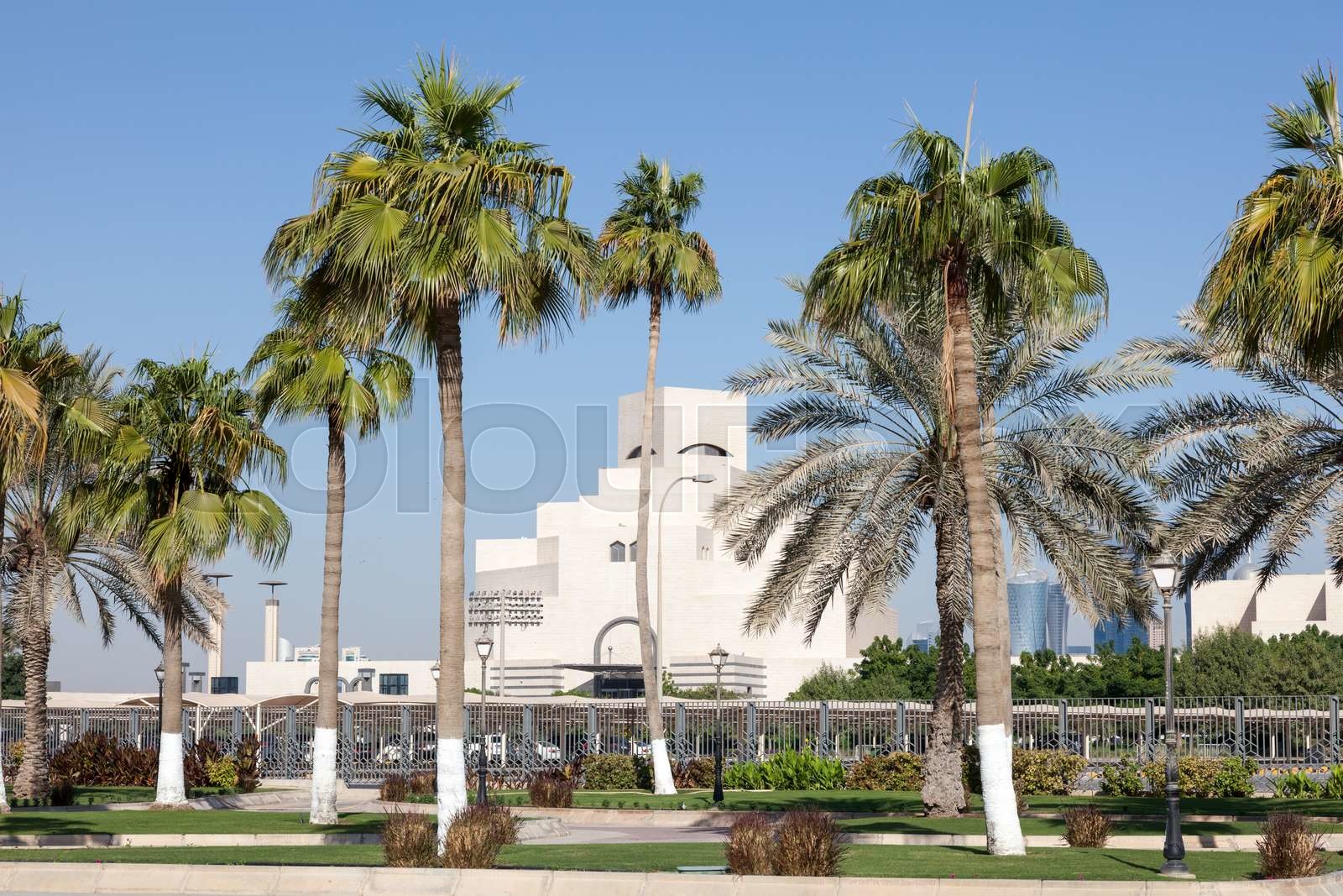 Palm Trees at the Corniche in Doha, Qatar | Stock image | Colourbox