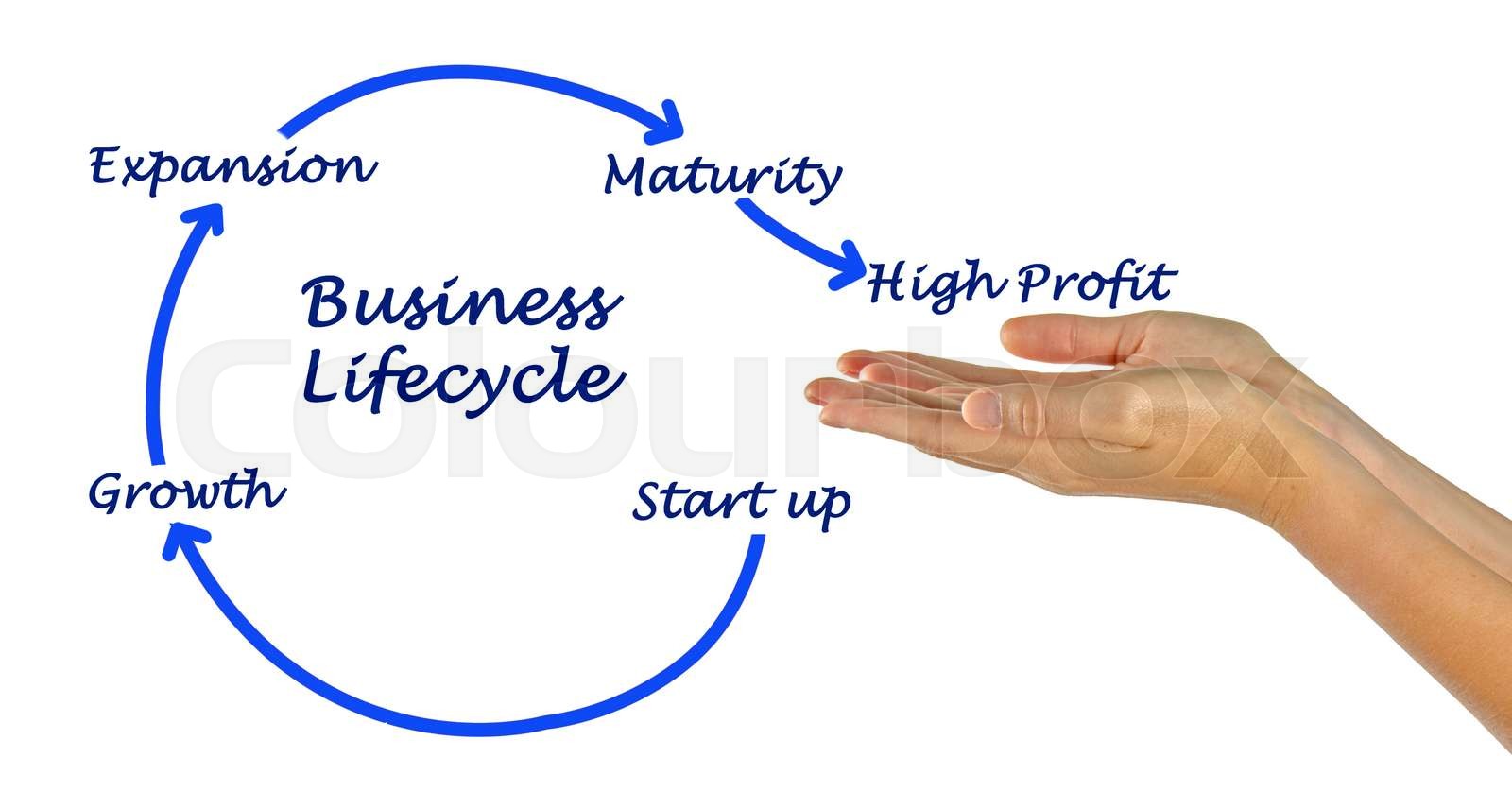 Diagram of Business lifecycle | Stock image | Colourbox