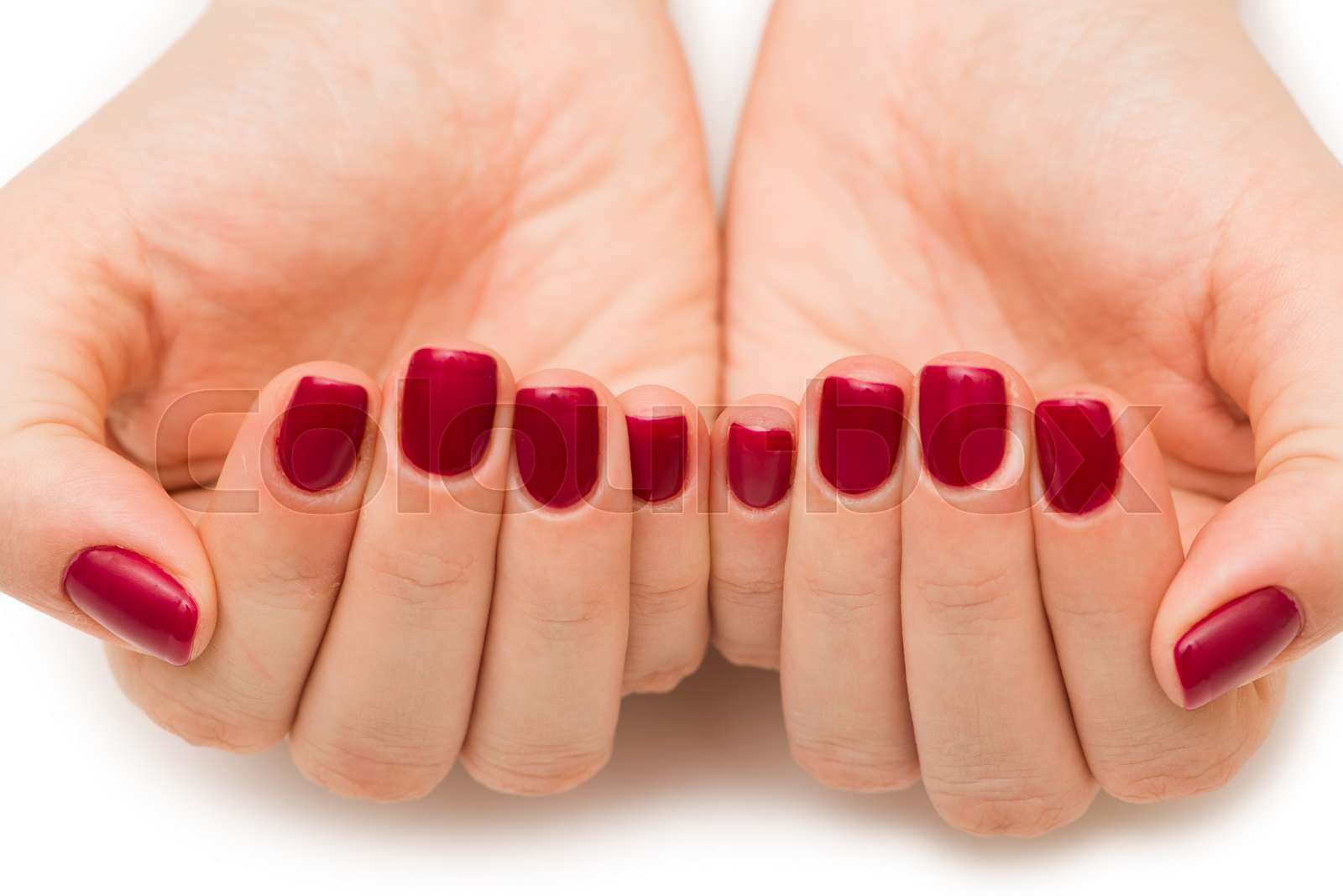 Woman hands with red nail isolated on white | Stock image | Colourbox