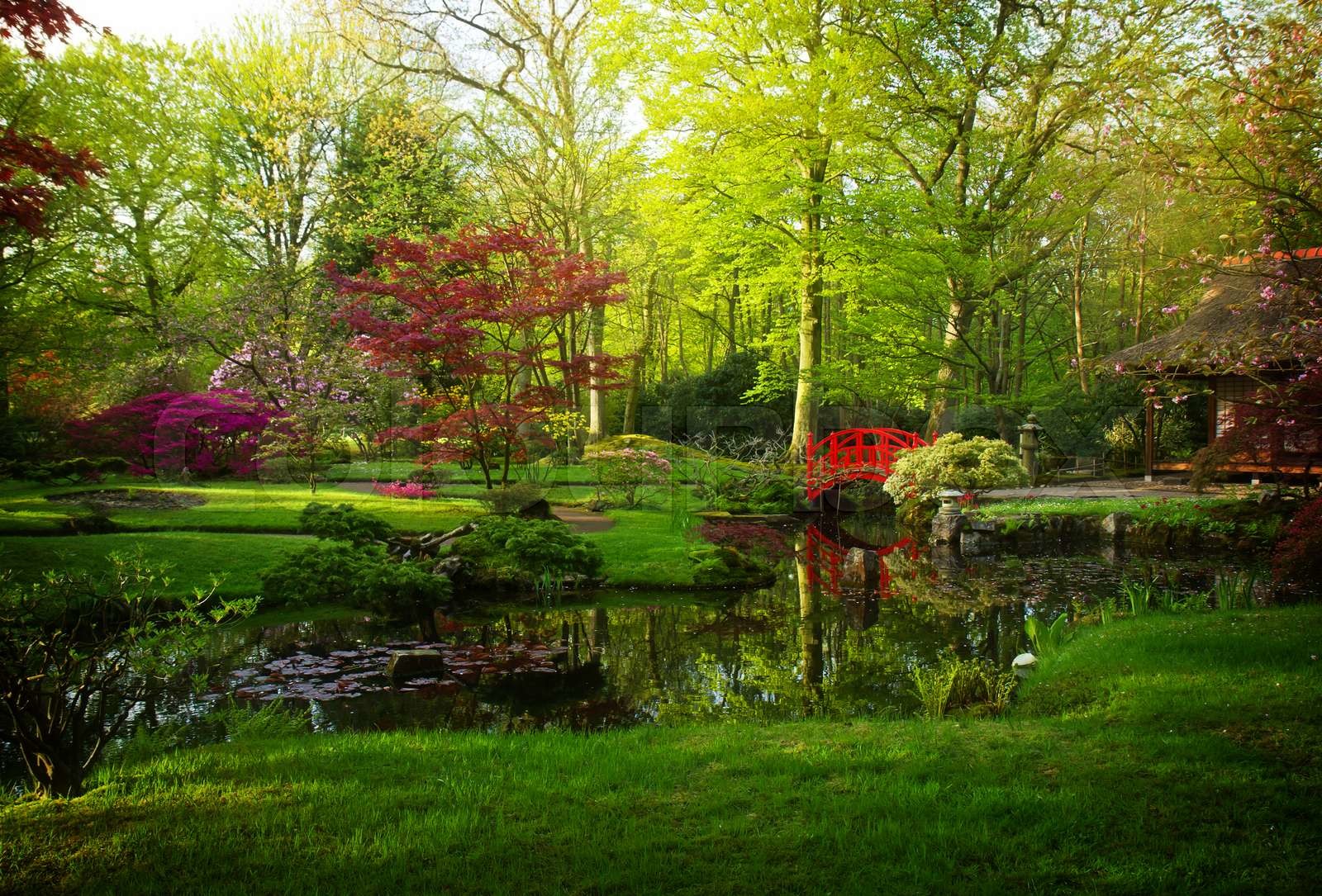 Japanese garden in spring | Stock image | Colourbox