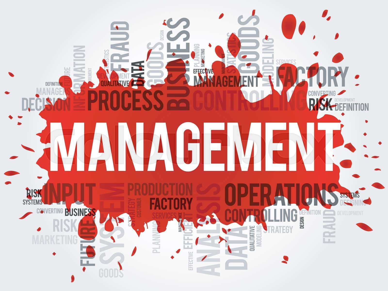 MANAGEMENT word cloud | Stock vector | Colourbox