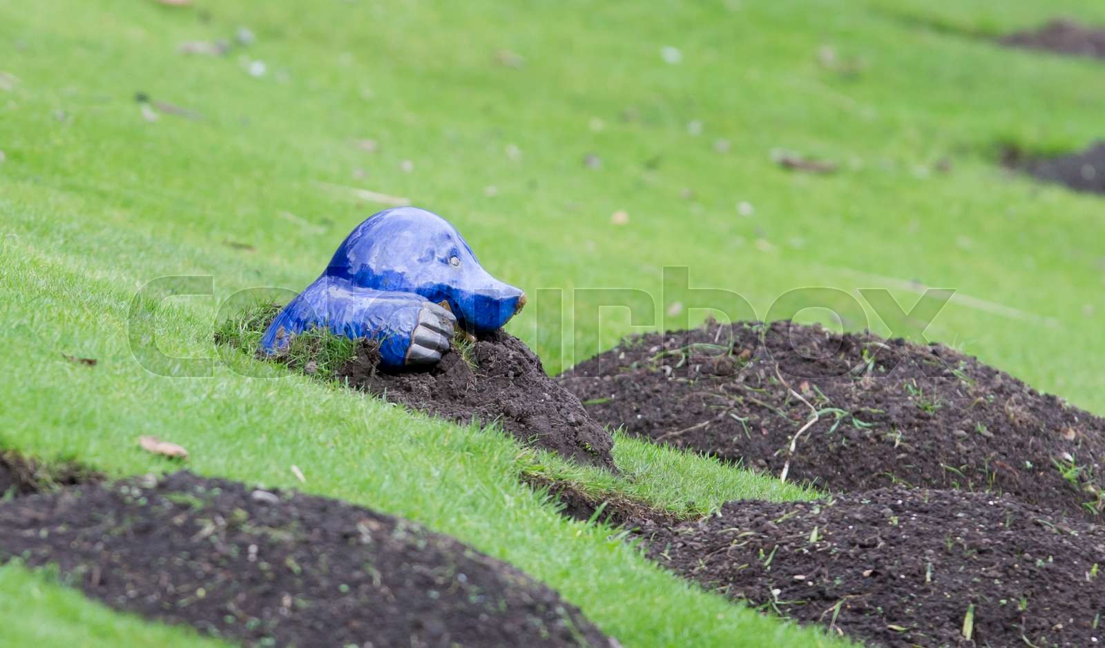 Blue mole statue | Stock image | Colourbox
