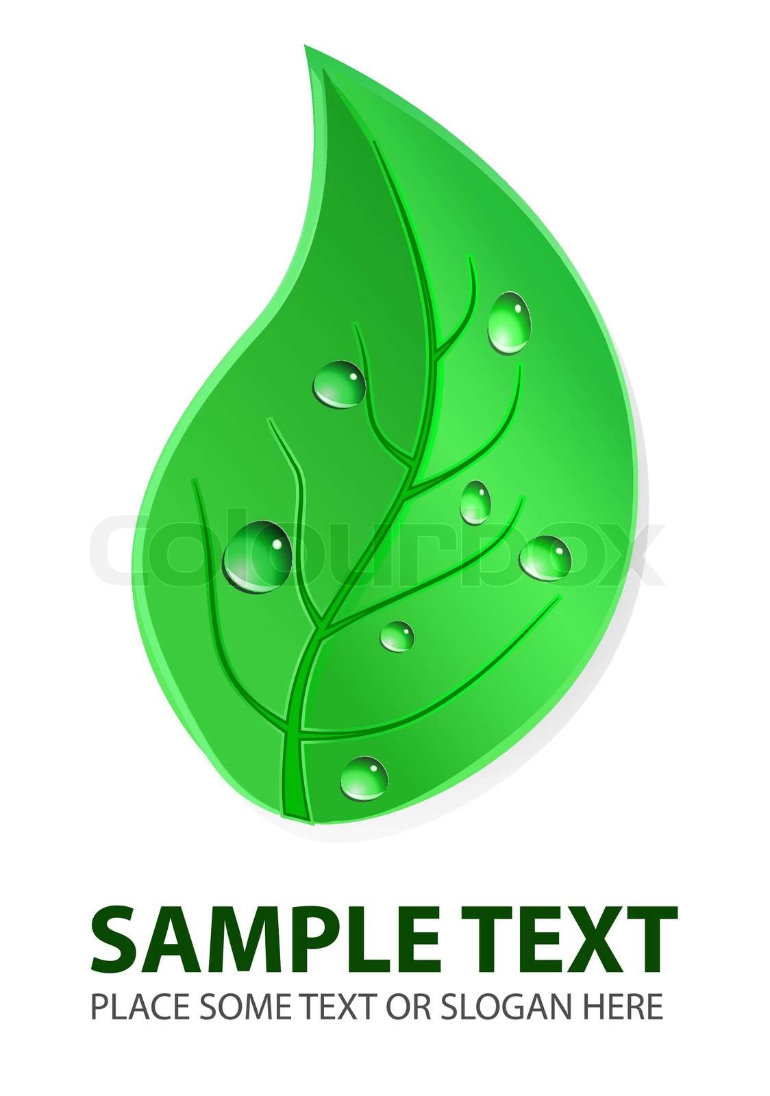 vector green leaf | Stock vector | Colourbox
