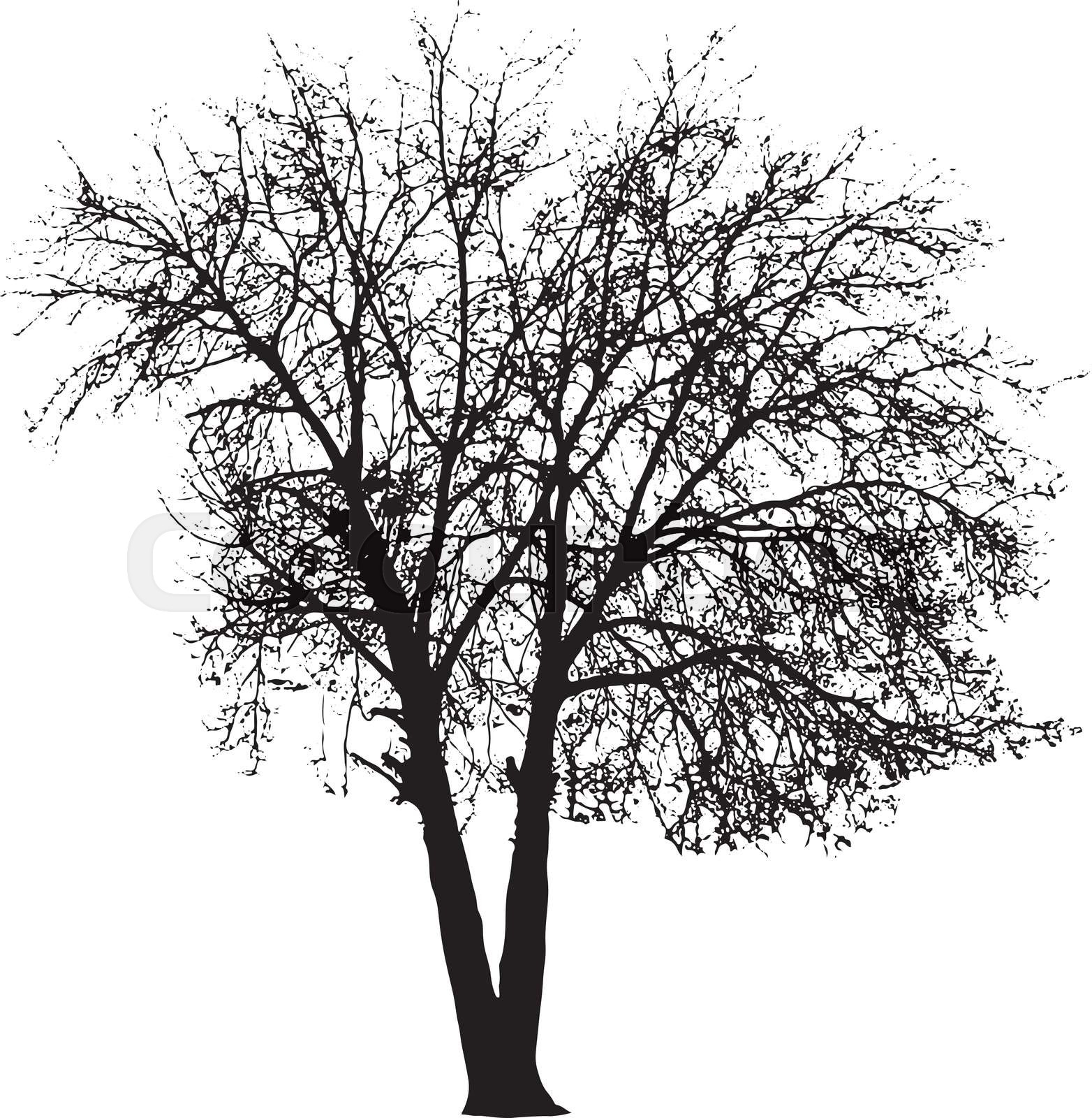 Tree silhouette | Stock vector | Colourbox