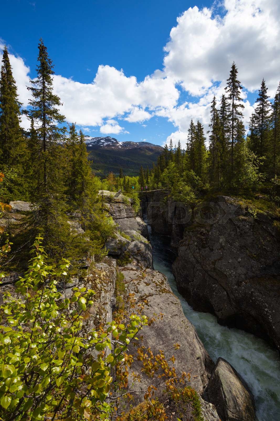 Canyon | Stock image | Colourbox