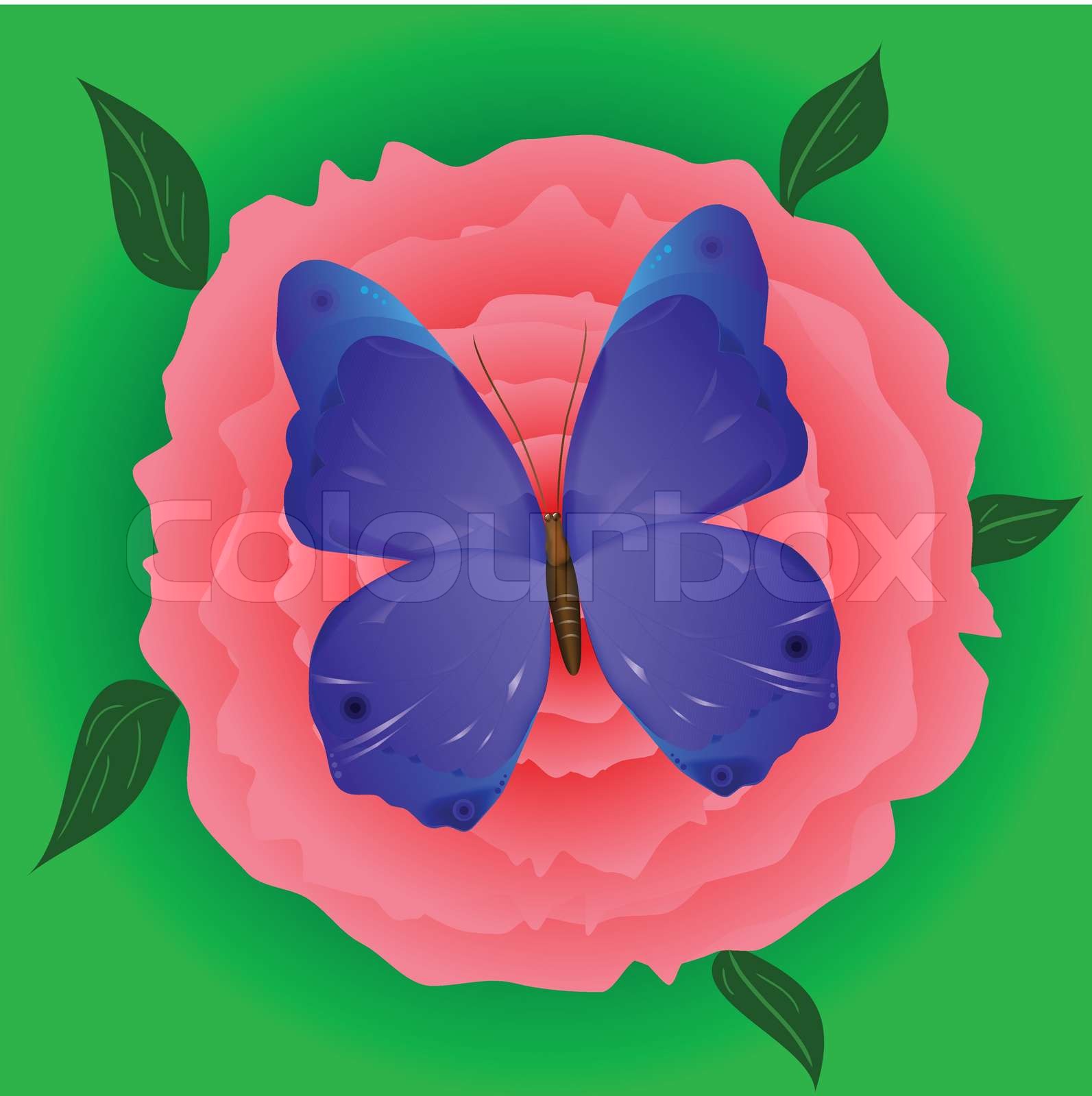 butterfly, vector, curve | Stock vector | Colourbox