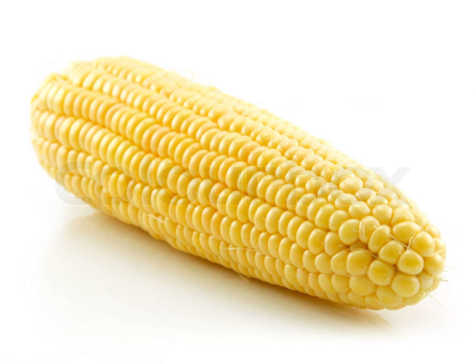 Ripe Yellow Corn Isolated on White Background | Stock image | Colourbox