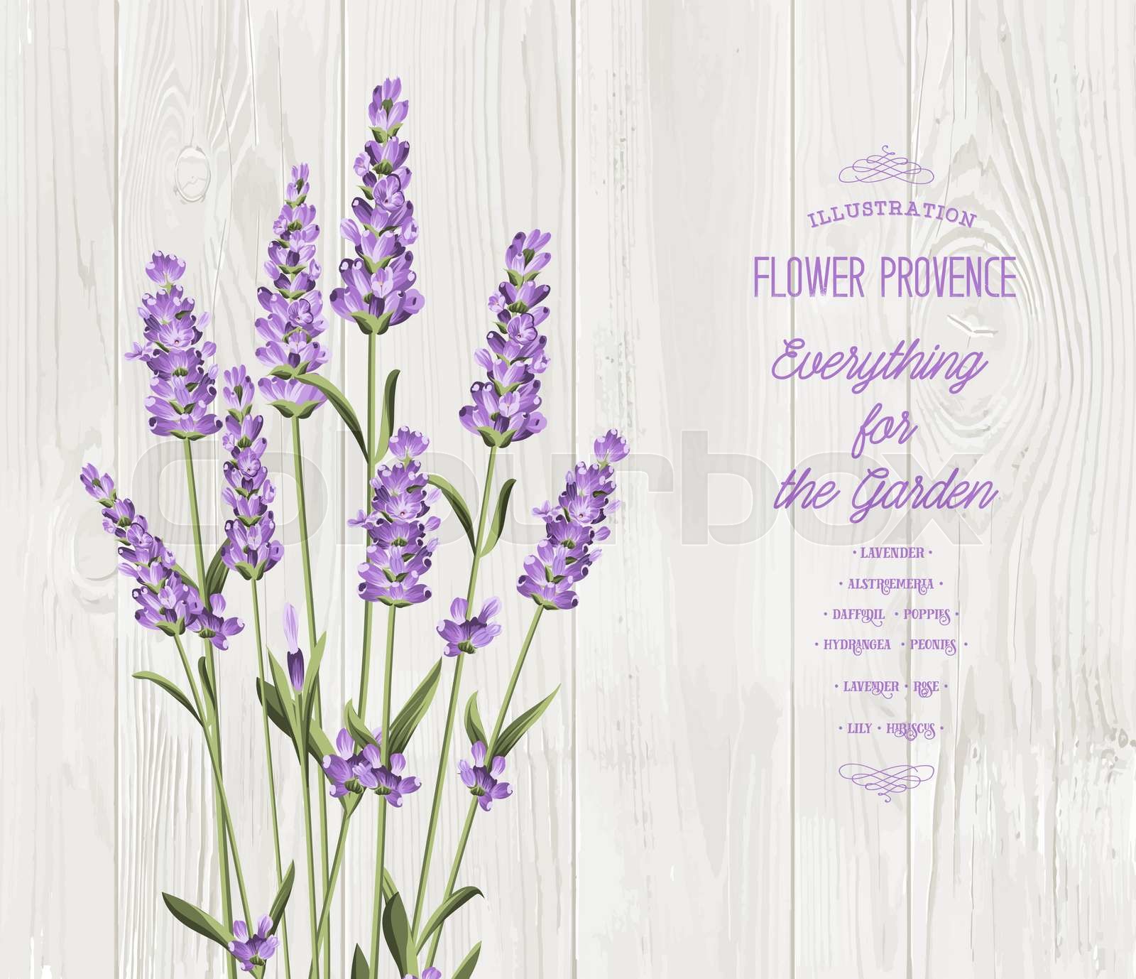 Vintage Lavender Flowers