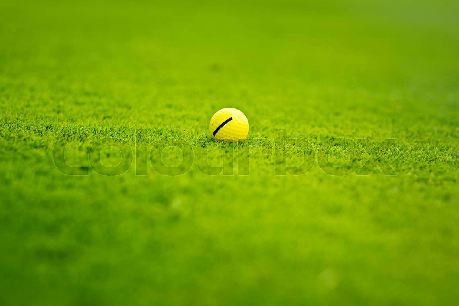 Golf ball on the golf course | Stock image | Colourbox