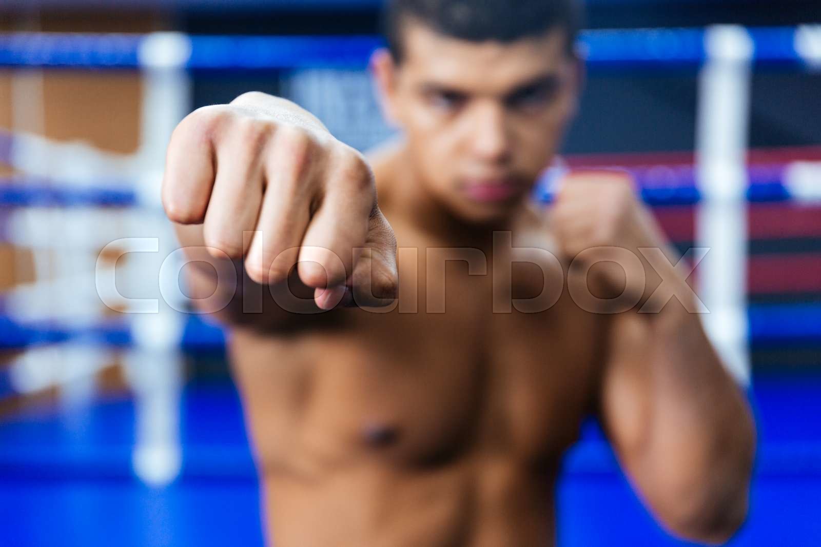 Boxer hitting at camera | Stock image | Colourbox