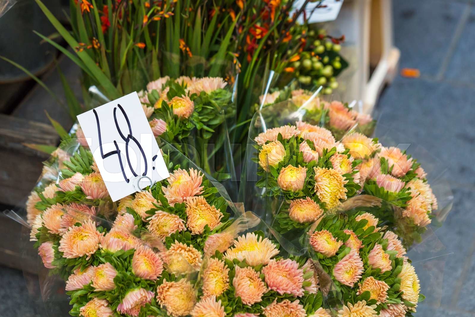 Outdoor flower market in Copenhagen, Denmark. | Stock image | Colourbox