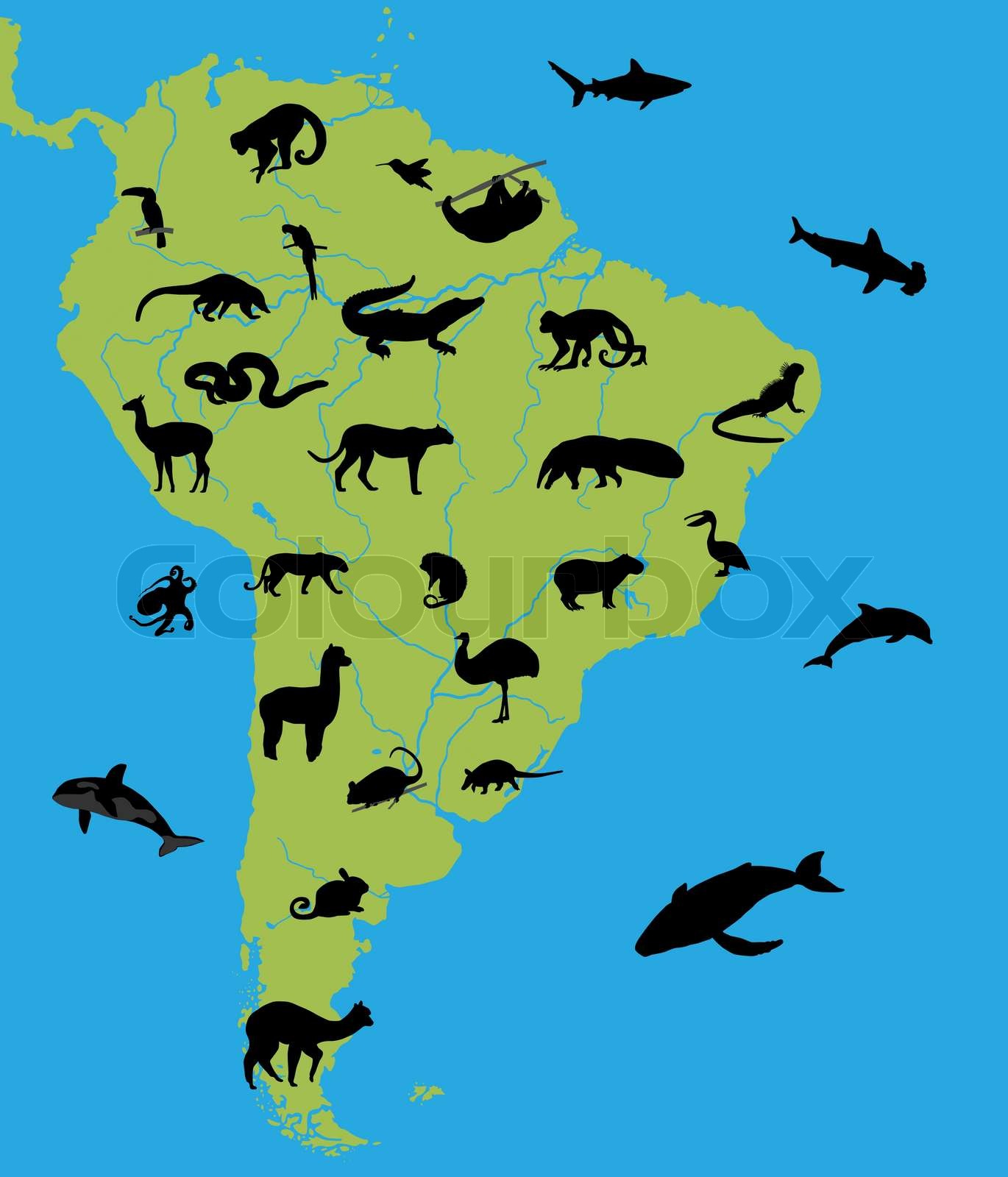 Animals on the map of South America | Stock vector | Colourbox