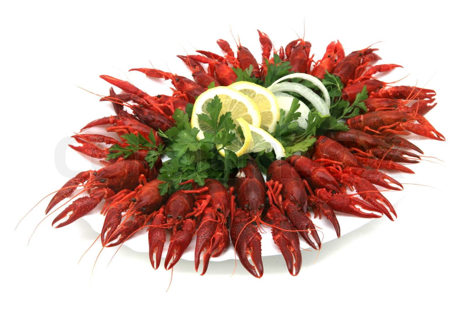 Frisk fisk og skaldyr med urter og citron på en tallerken | Stock foto ...