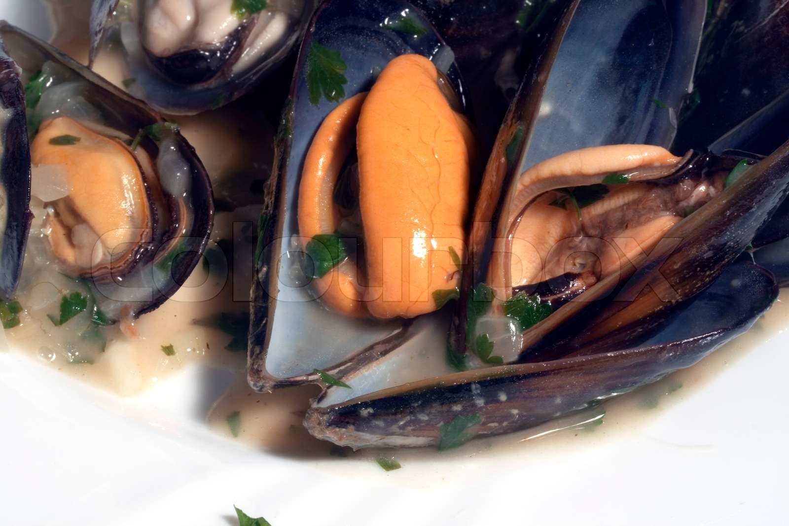 fresh cooked mussels at the restaurant | Stock image | Colourbox