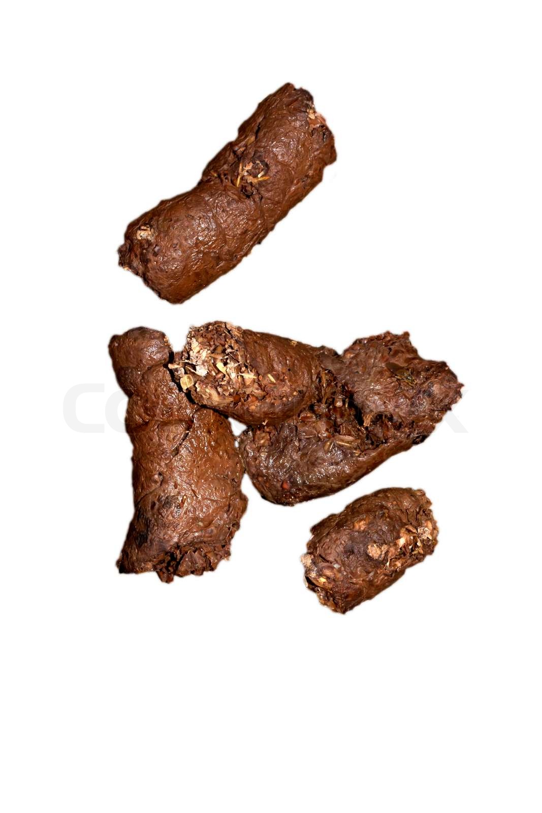 dog excrement | Stock image | Colourbox