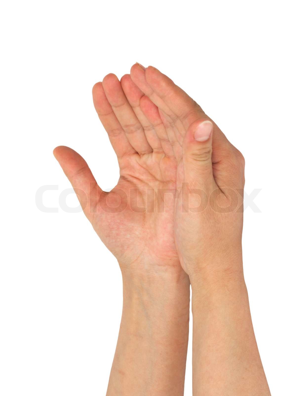 zwei Palmen der Hand auf weißem Hintergrund | Stock Bild | Colourbox