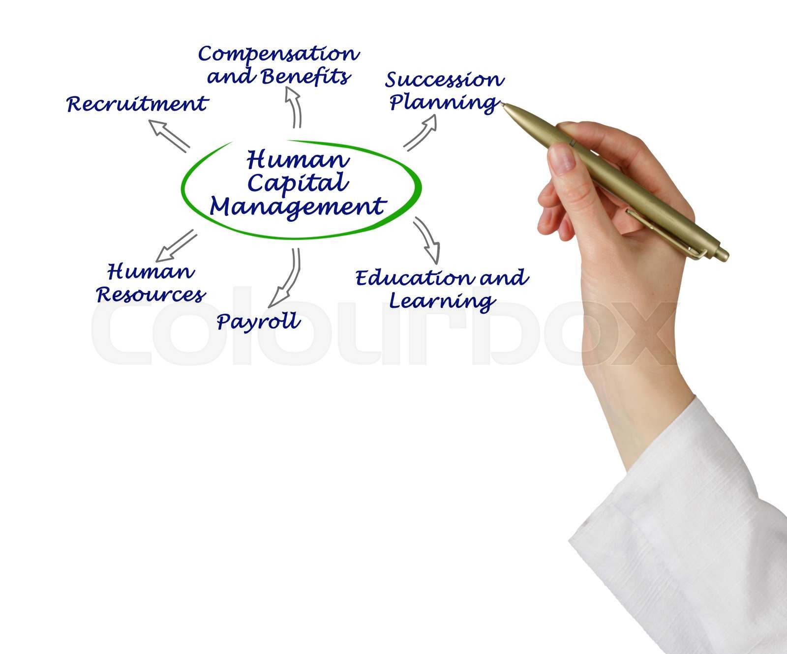 Diagram of Human Capital Management | Stock image | Colourbox