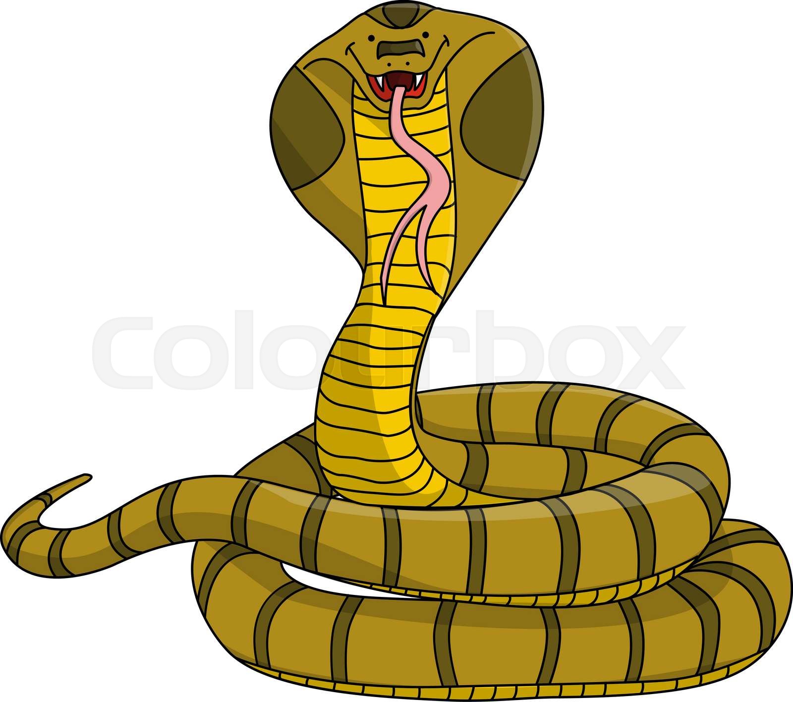Cobra cartoon illustration | Stock vector | Colourbox