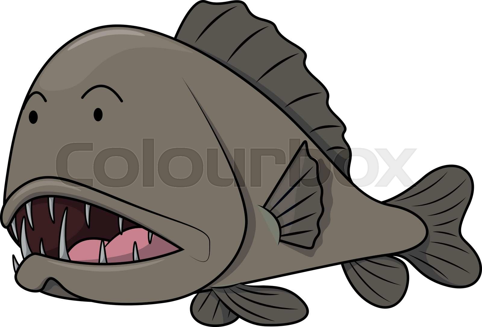 Fang tooth fish | Stock vector | Colourbox
