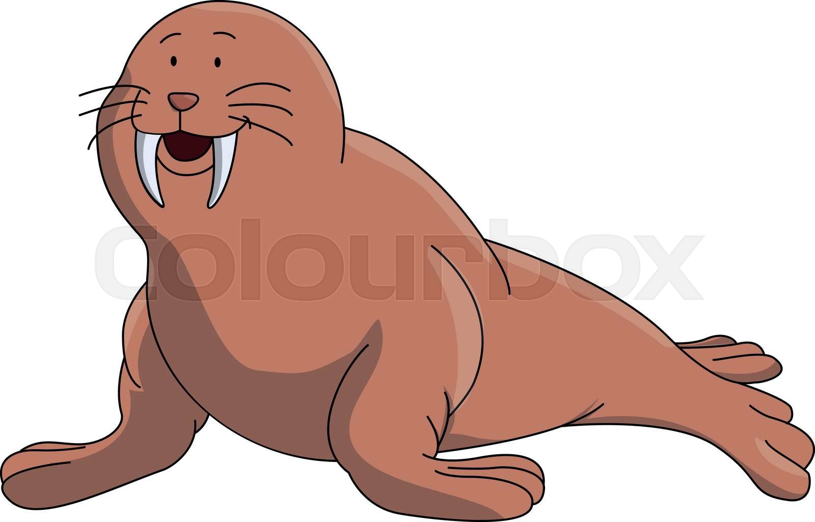 Walrus cartoon illustration | Stock vector | Colourbox