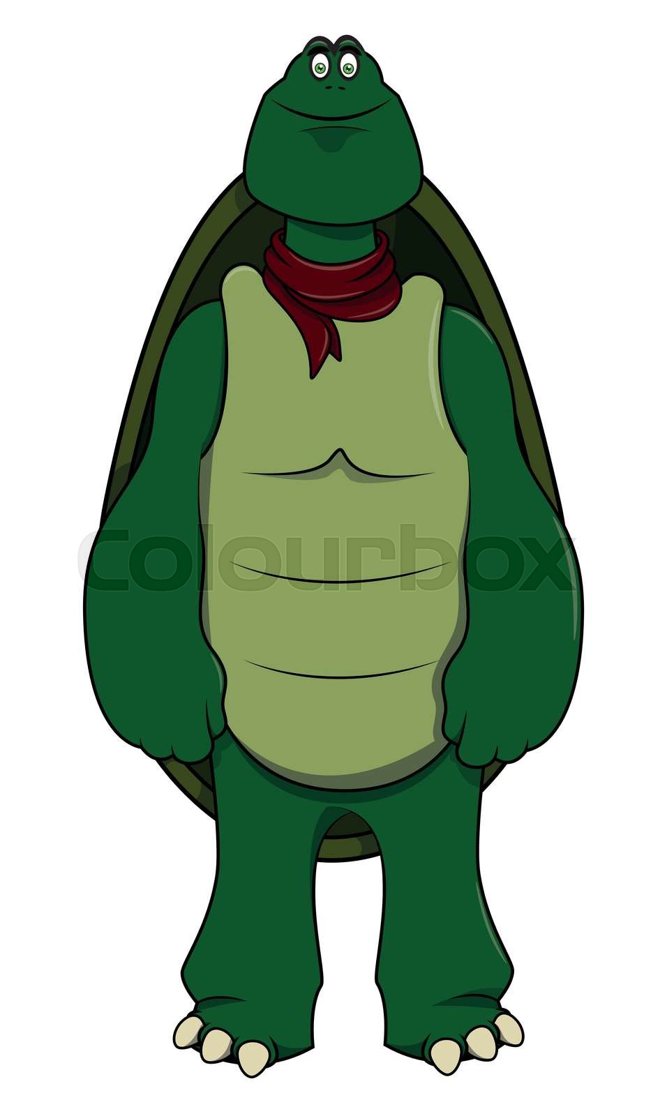 Turtle cartoon illustration | Stock vector | Colourbox