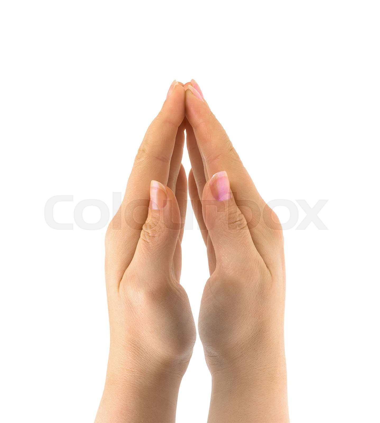 woman's praing hands | Stock image | Colourbox
