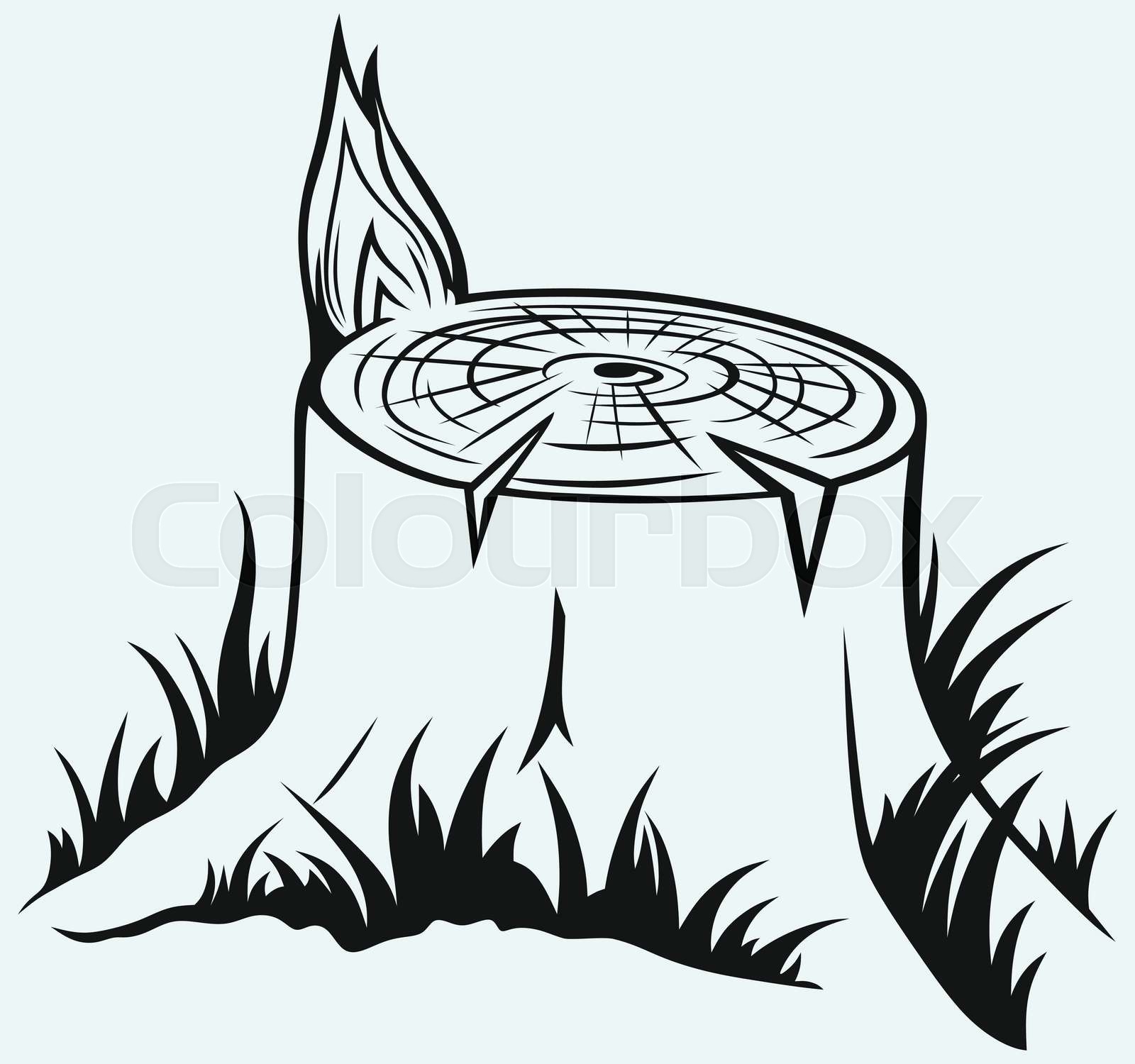 Tree Stump Drawing
