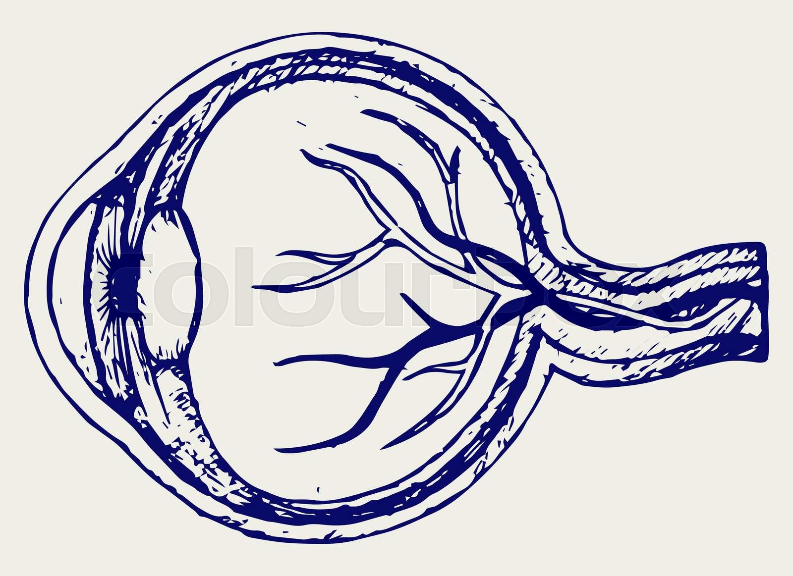 Eye Diagram Without Labels