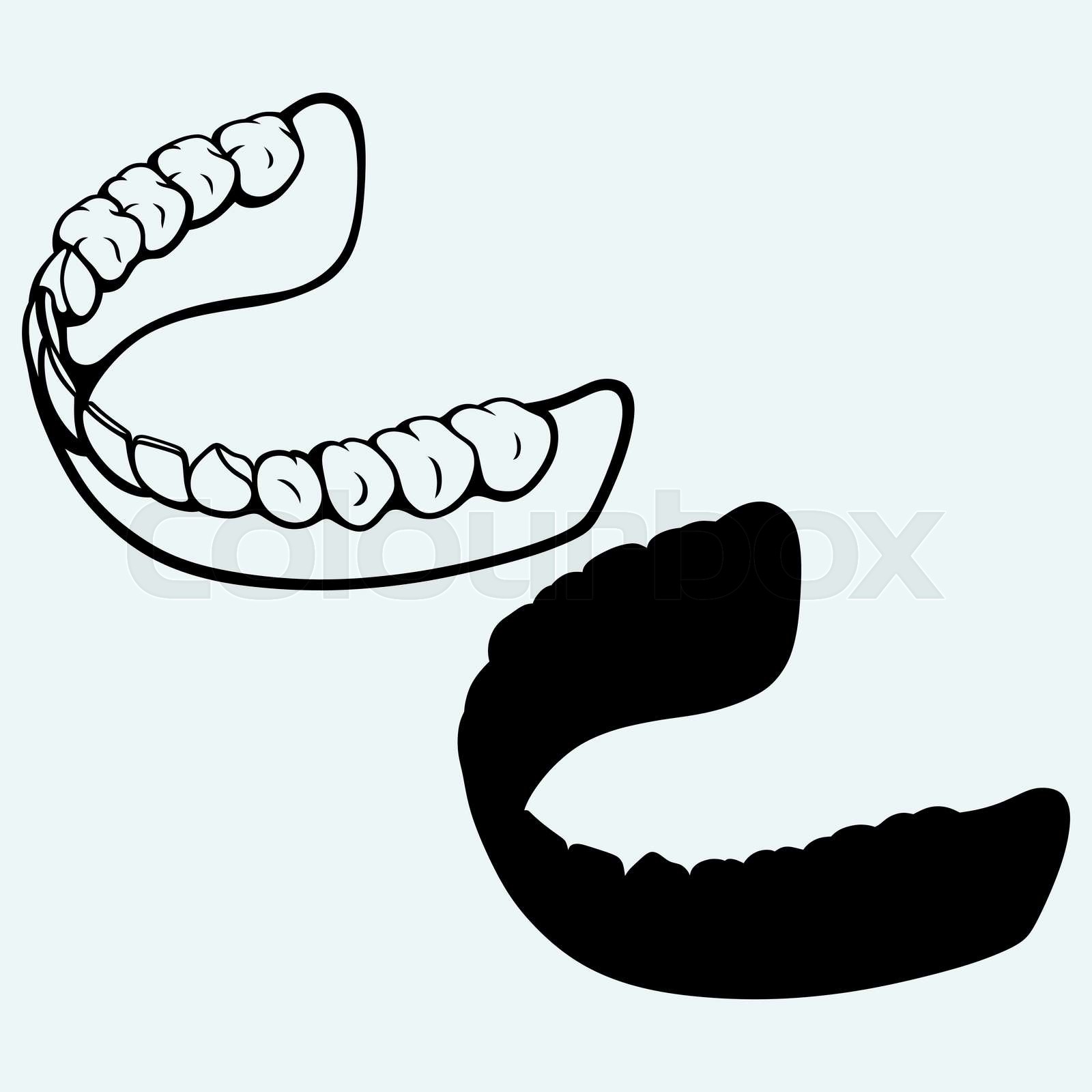 Human jaw. Vector | Stock vector | Colourbox