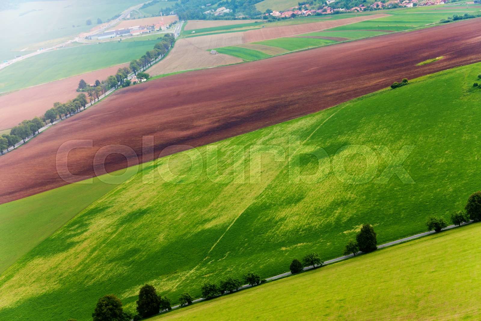 Wheat and other fields from above | Stock image | Colourbox