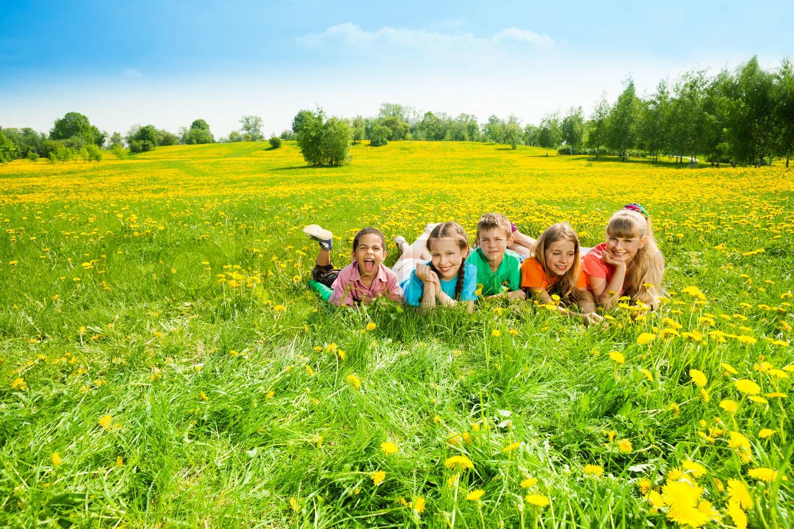 Kids in flower field | Stock image | Colourbox