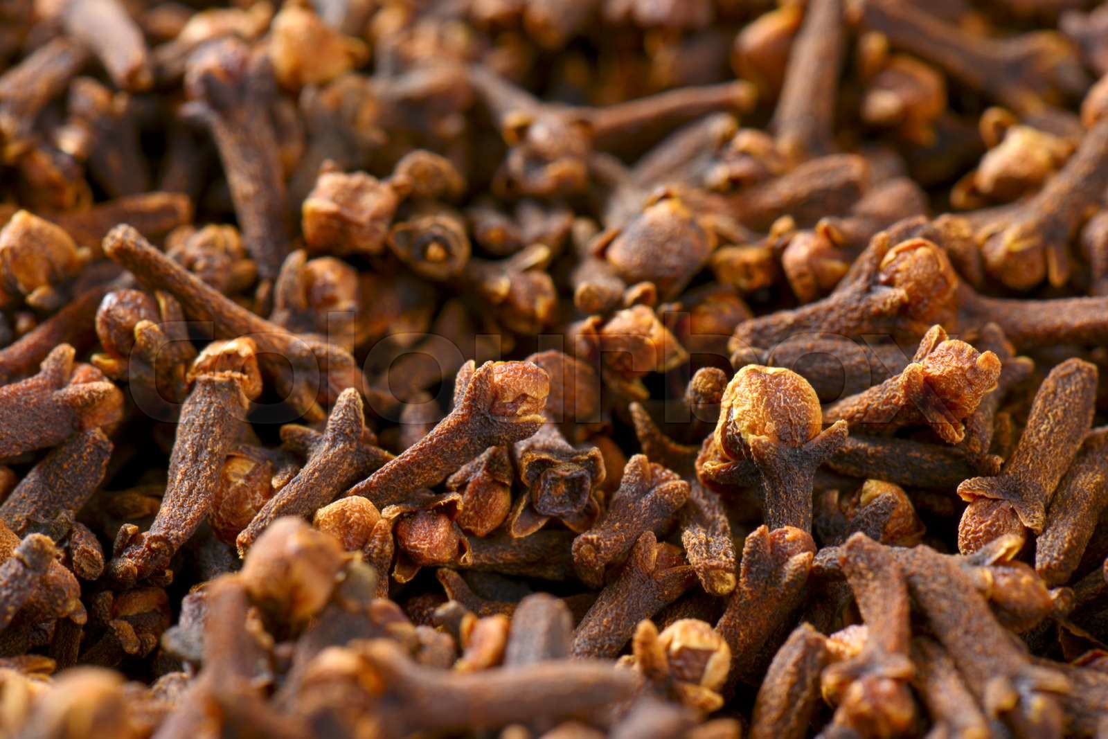 Dried cloves | Stock image | Colourbox