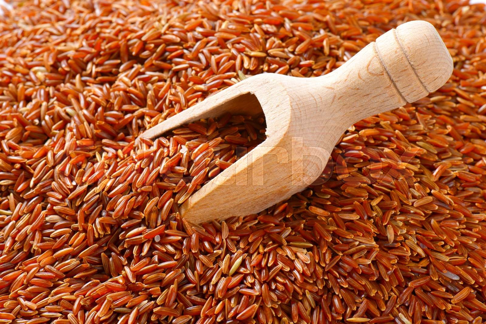 Camargue red rice | Stock image | Colourbox