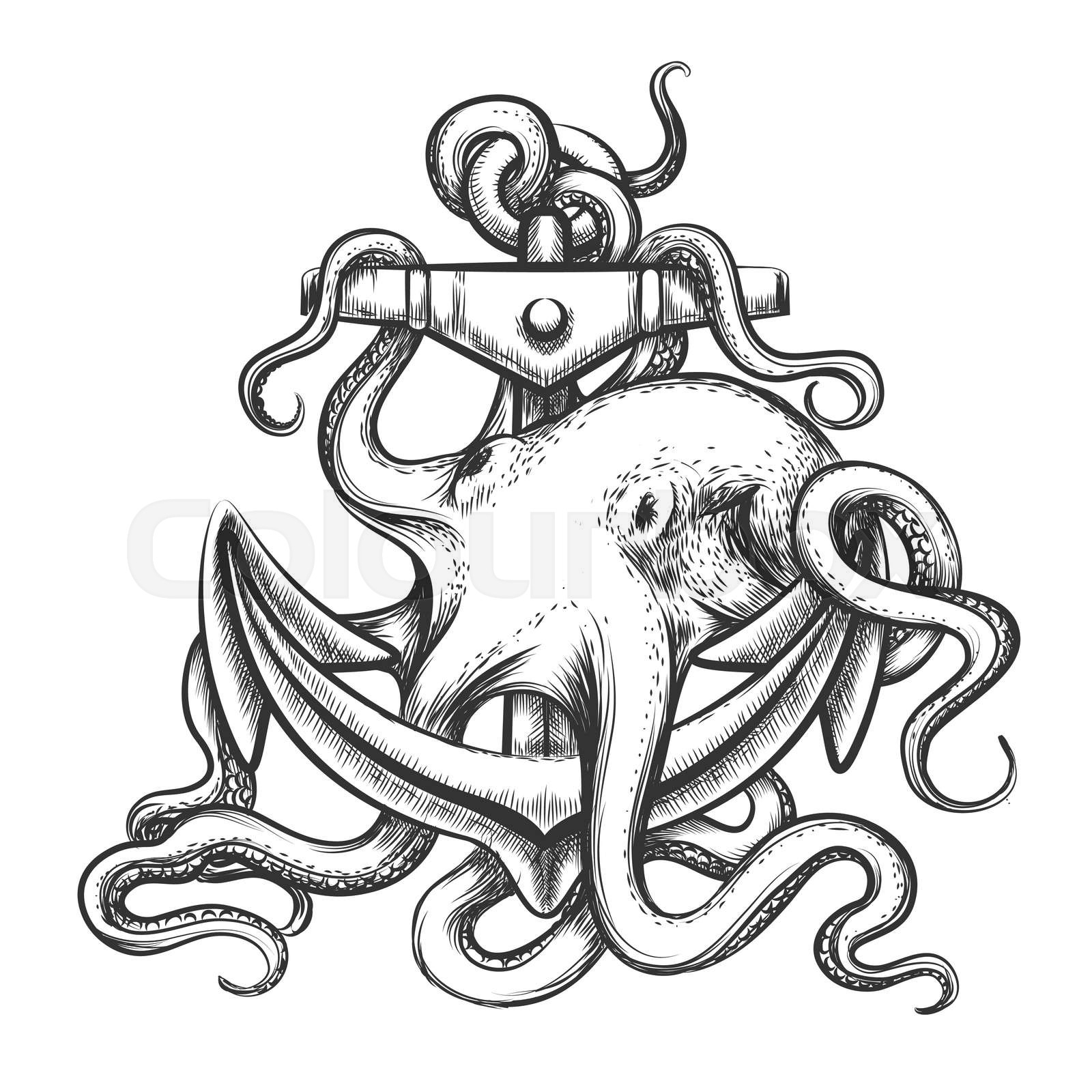 Octopus and Anchor | Stock vector | Colourbox
