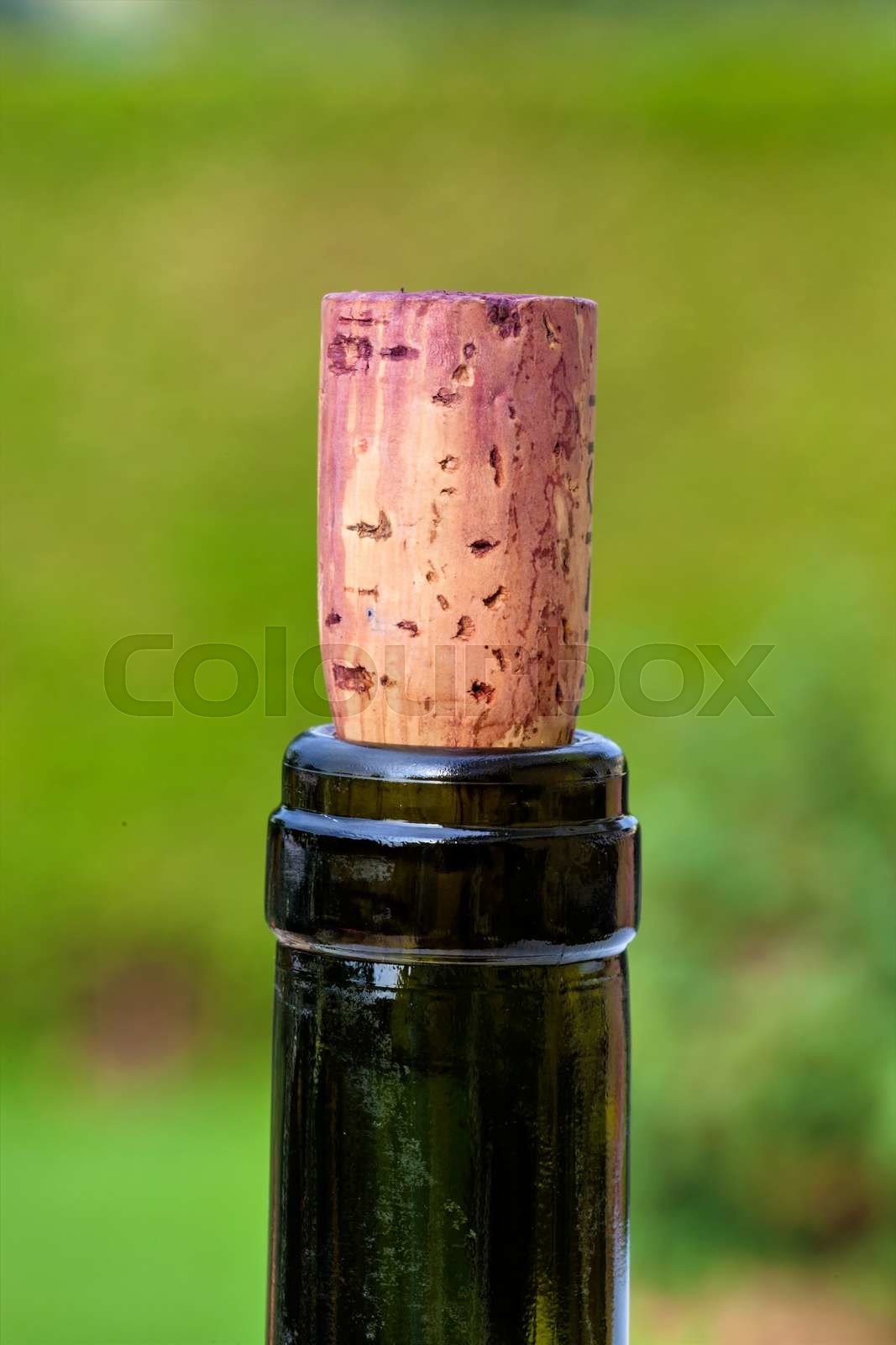 cork in wine bottle | Stock image | Colourbox