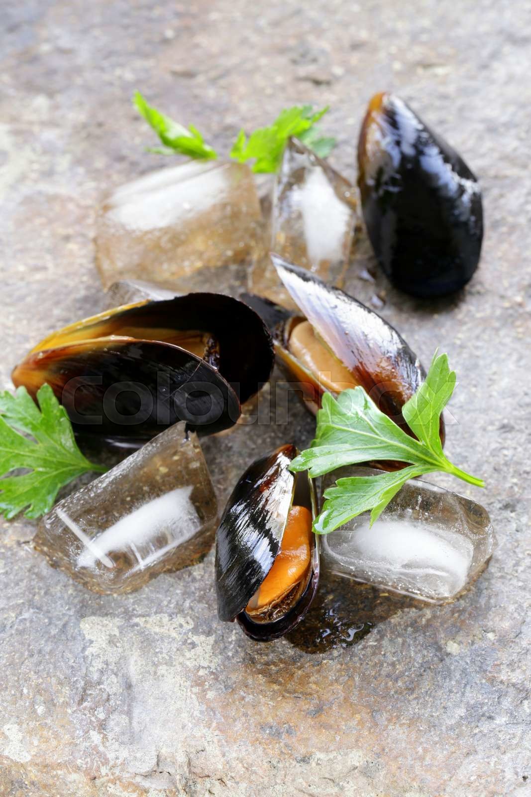 fresh delicious seafood mussels | Stock image | Colourbox