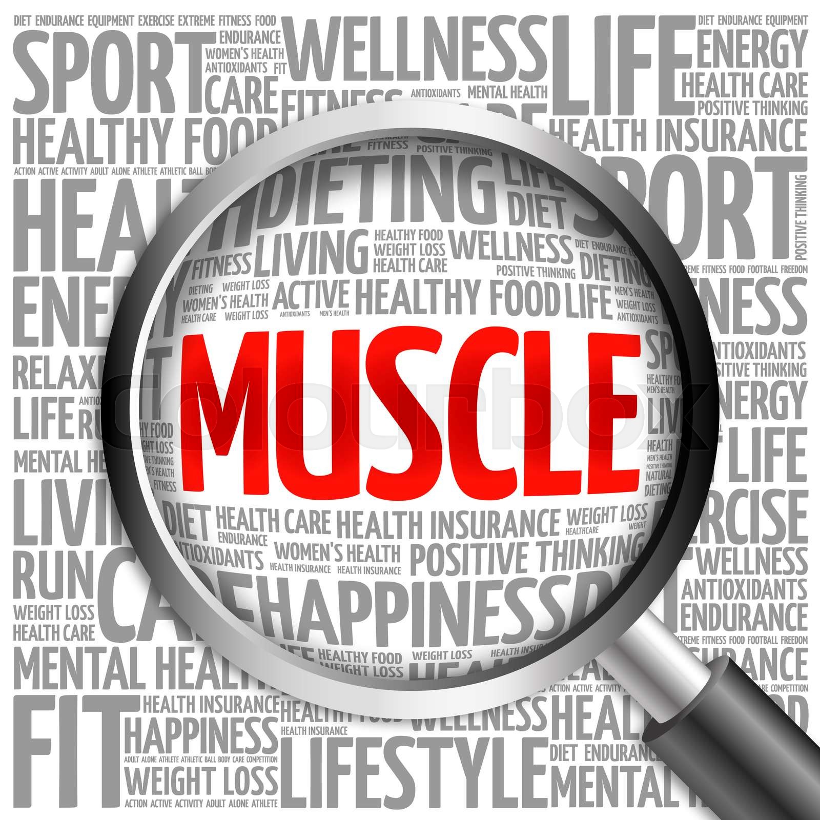 Muscle word cloud with magnifying glass | Stock image | Colourbox