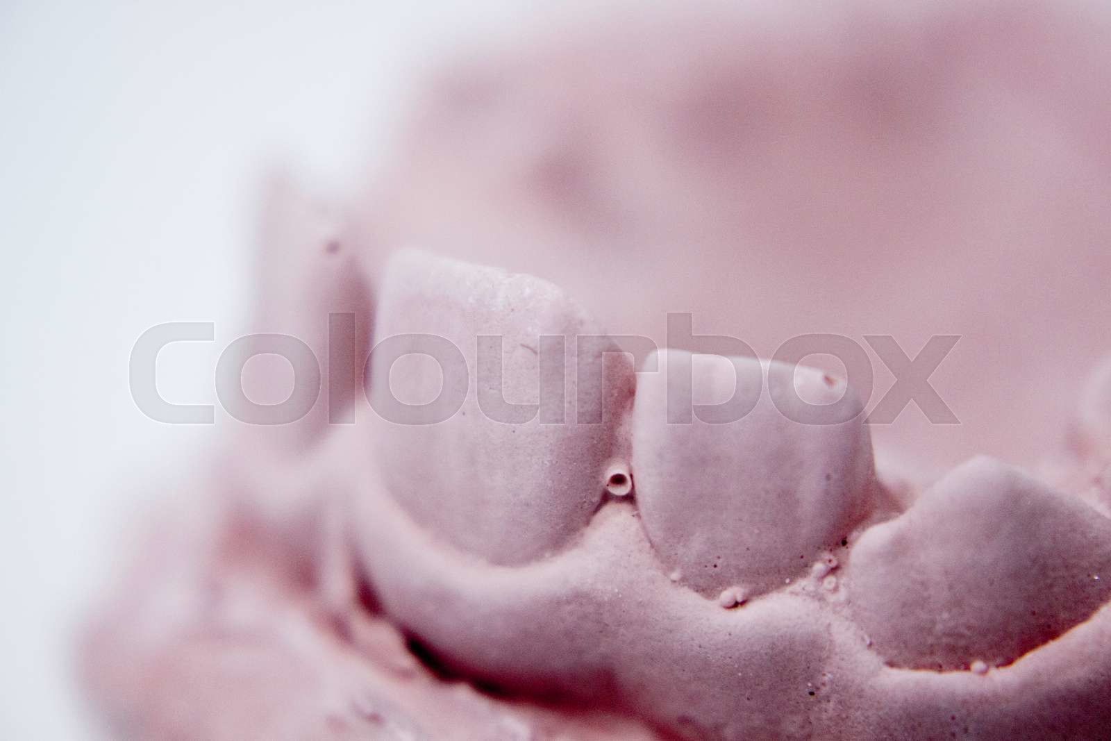 Dental prosthetics clay tooth mold | Stock image | Colourbox