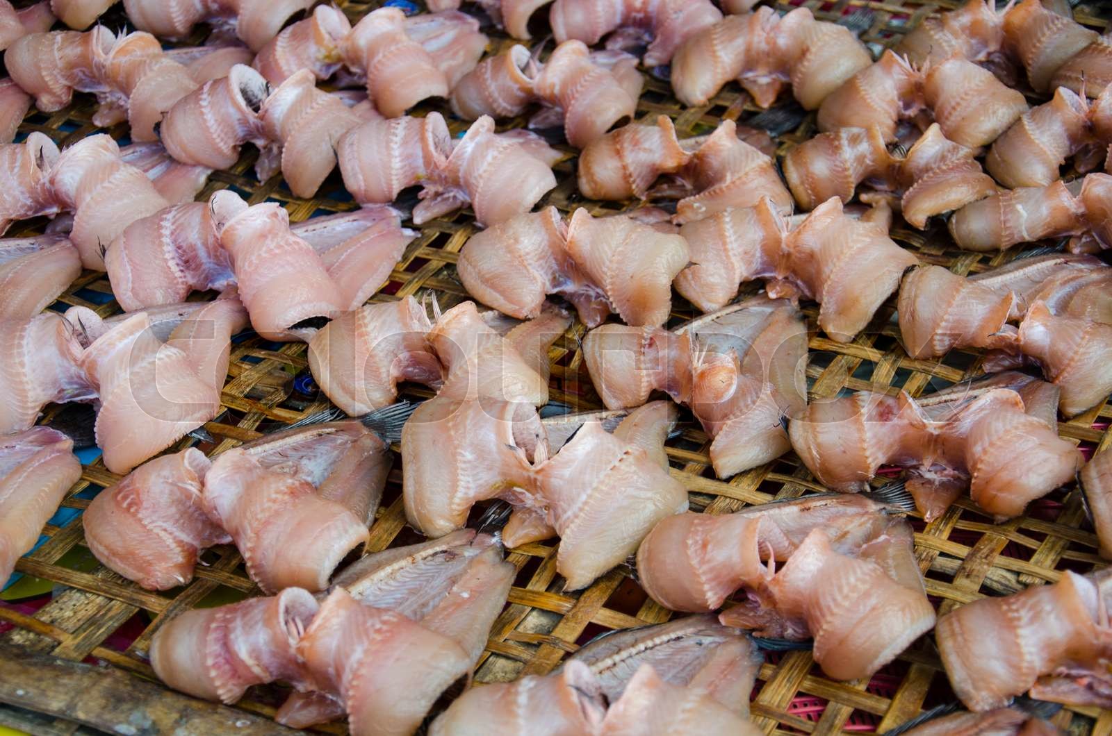 Dry Striped snakehead fish. | Stock image | Colourbox