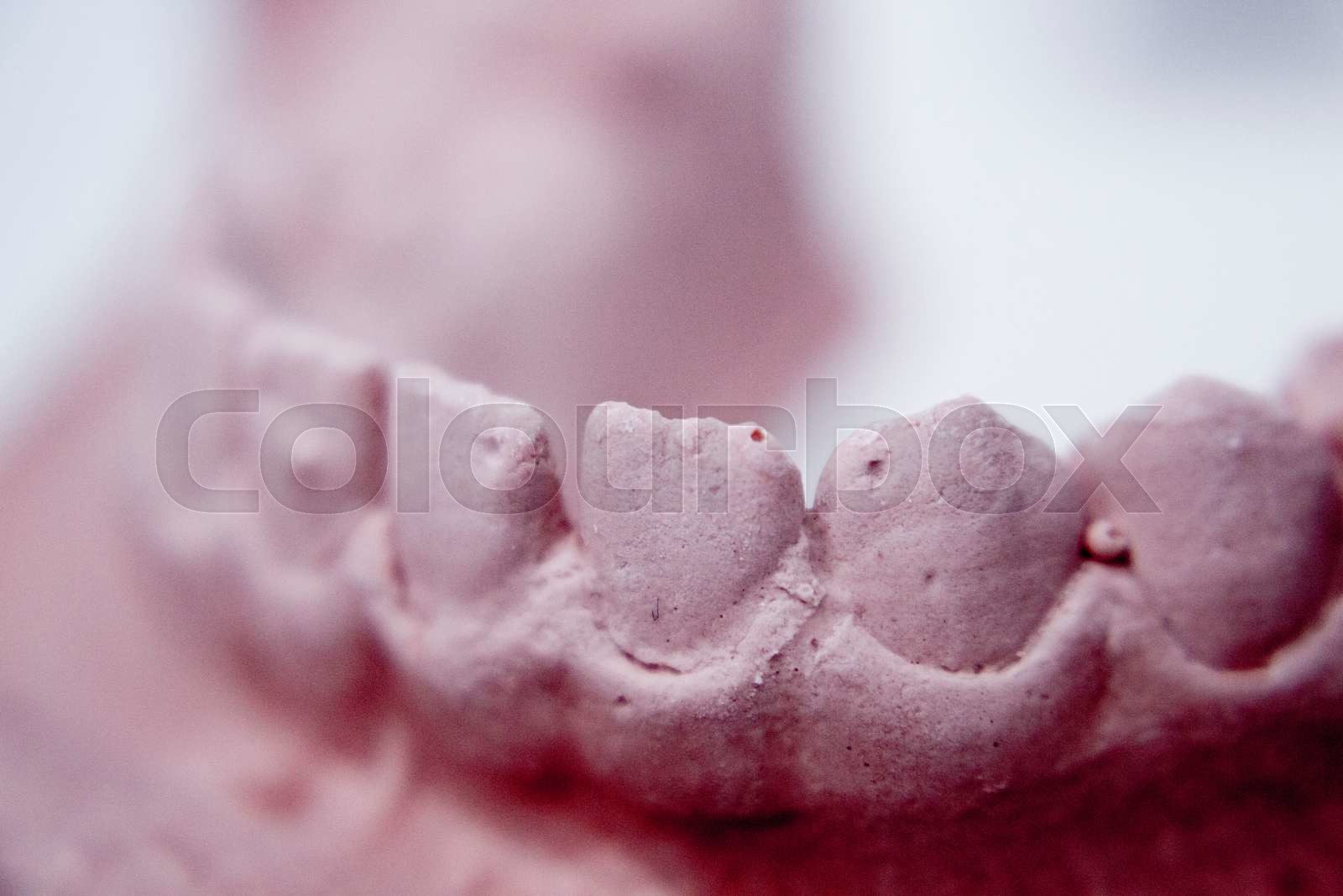 Dental prosthetics clay tooth mold | Stock image | Colourbox