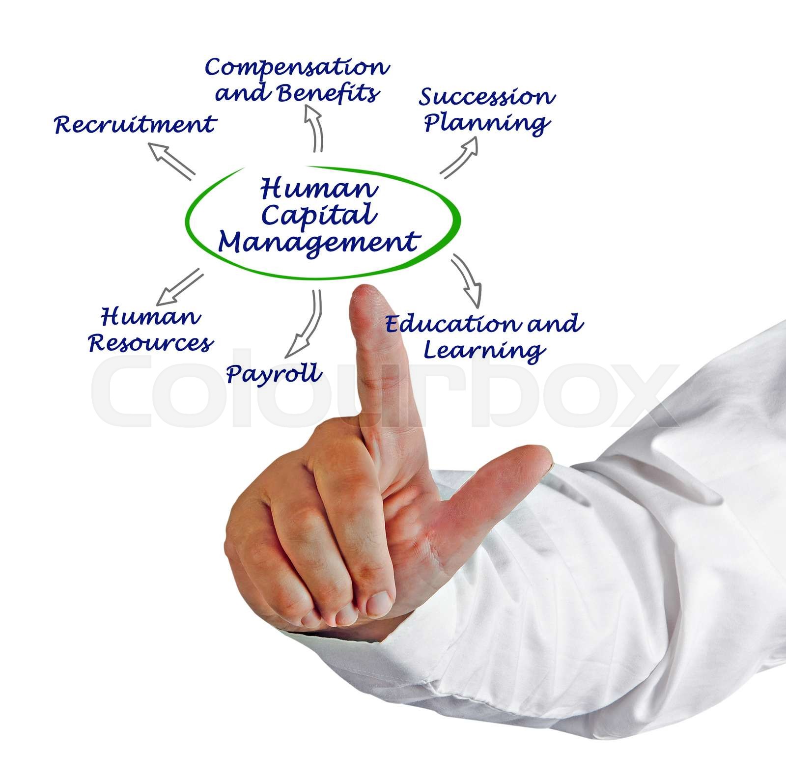 Diagram of Human Capital Management | Stock image | Colourbox