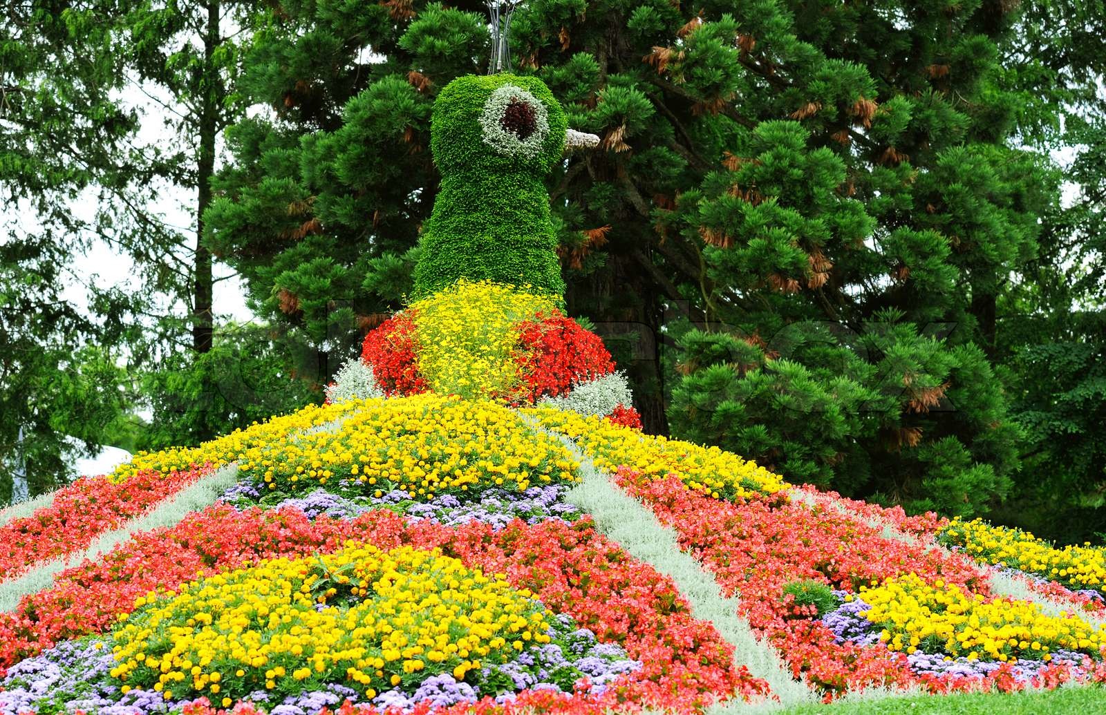 blomsterbed , haven øen Mainau , Tyskland | Stock foto | Colourbox