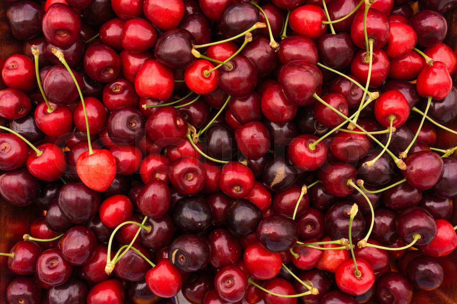 Red Cherries. Cherry selection | Stock image | Colourbox